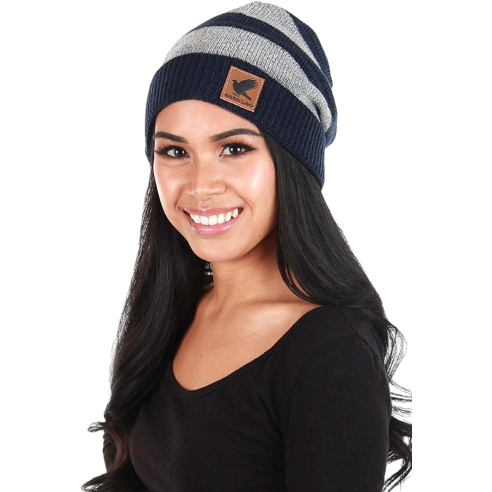Harry Potter - Ravenclaw Heathered Knit Beanie by Elope | Popcultcha
