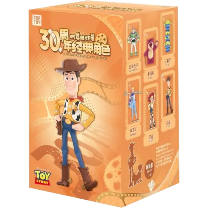 Toy Story | 30th Anniversary Classic Character Series Blind Box Vinyl ...