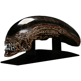 Alien Resurrection | Alien Warrior 1:1 Scale Life-Size Head Prop ...